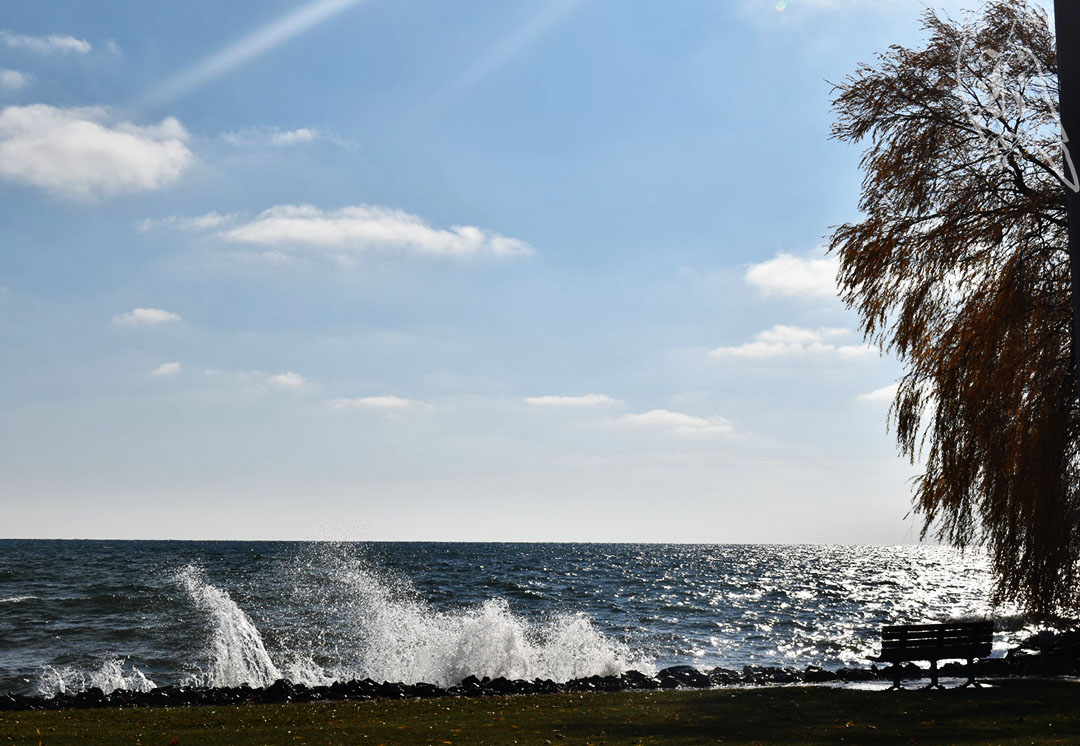 Sandy Hook Trail and Tobico Marsh Trail – Raven K