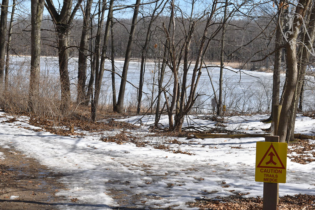 Springlake Trail – Raven K